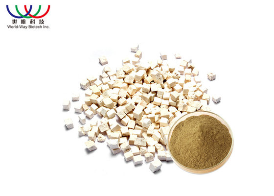 Tuckahoe Fu Ling Poria Cocos Extract Improve Digestive System For Pharmaceutical Field