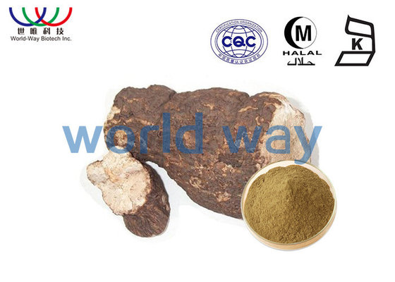 Tuckahoe Fu Ling Poria Cocos Extract Improve Digestive System For Pharmaceutical Field