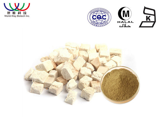 Health Care Poria Cocos Extract Powder Anti - Cancer Strengthen Cardiac Contractility