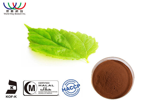 Herb Morus Alba Extract Yellowish Brown Fine Powder Lower Blood Sugar Level