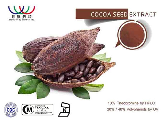 All Natural Cocoa Extract Weight Loss , Pure Dark Cocoa Powder Antioxidants