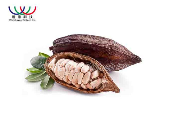 All Natural Cocoa Extract Weight Loss , Pure Dark Cocoa Powder Antioxidants