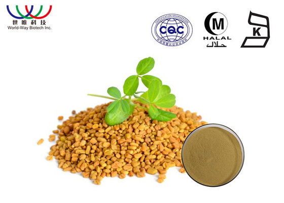 Fine Yellowish Brown Fenugreek Extract Powder Herbal Medicine For Men'S Healthy