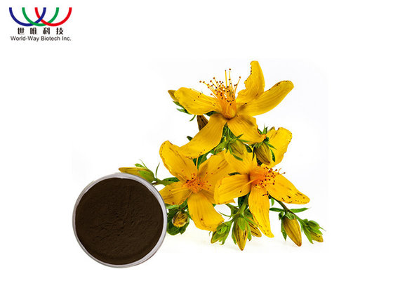 Organic St John'S Wort Powder Improving Sleeping , Saint John'S Wort Extract Antidepressant