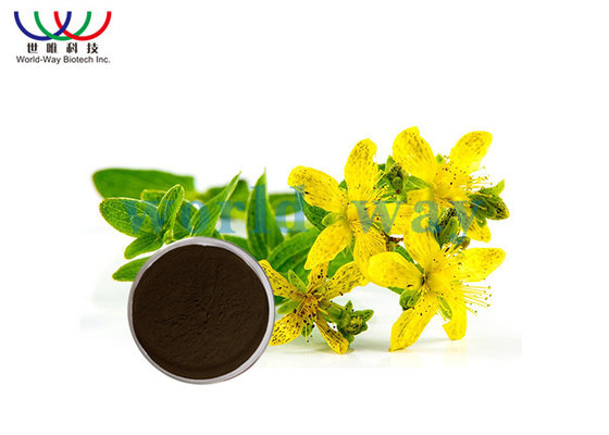 Organic St John'S Wort Powder Improving Sleeping , Saint John'S Wort Extract Antidepressant
