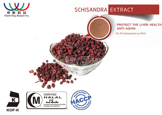 Schisandrin A  Plant Extract Powder , Schisandra Chinensis Fruit Extract Drum Packaging