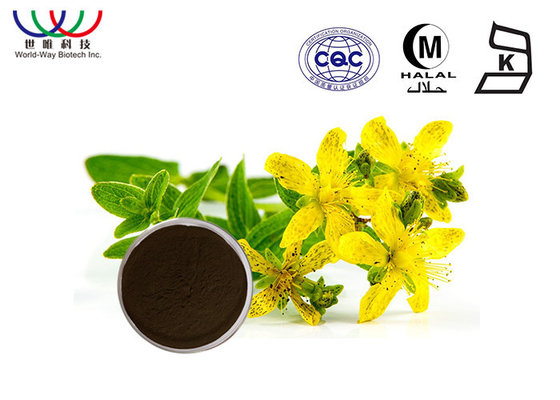 100% Natural St John'S Wort Standardized Extract , Pure Hypericum Perforatum Extract