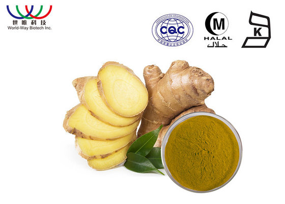 Water Soluble Ginger Root Extract Powder Light Yellow Anti - Oxidant For Food Beverage