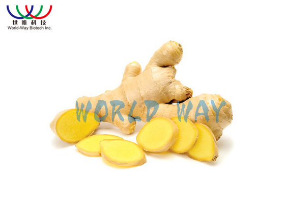 Water Soluble Ginger Root Extract Powder Light Yellow Anti - Oxidant For Food Beverage