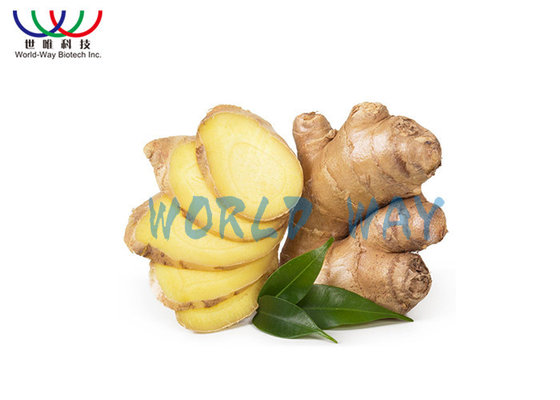 Anti Bacterial Zingiber Officinale Extract , Ginger Extract Powder For Weight Loss