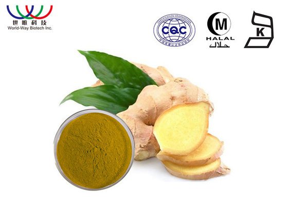 Food Grade Pure Ginger Extract , Organic Ginger Extract For Digestive Health
