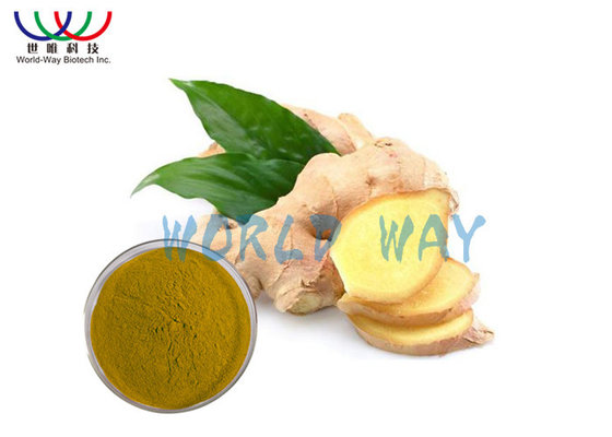 Liquid Oil Ginger Root Extract Food Grade , Ginger Root Powder With Gingerols