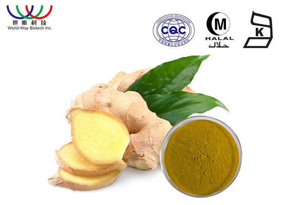 Natural Chinese Ginger Root Extract 20 ~ 40% Gingerols improves blood circulation