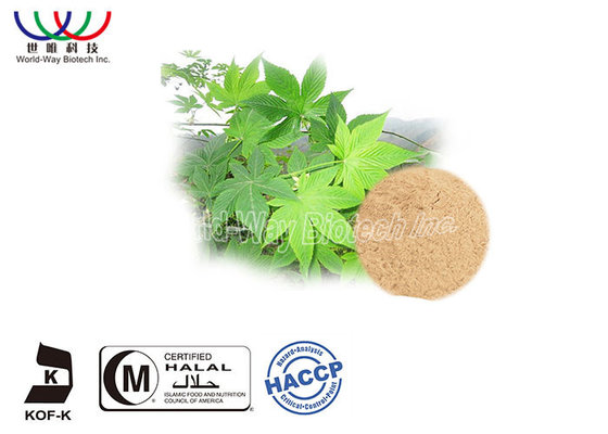 Healthy Sweetleaf Organic Stevia Extract , Pure Stevia Plant Extract Food Grade
