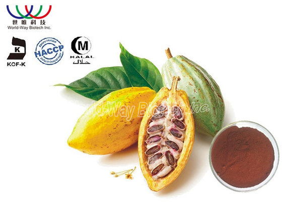 Food Grade Cocoa Bean Extract 10% Theobromine Anti - Diabetes For Weight Management