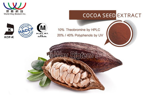 Food Grade Cocoa Bean Extract 10% Theobromine Anti - Diabetes For Weight Management