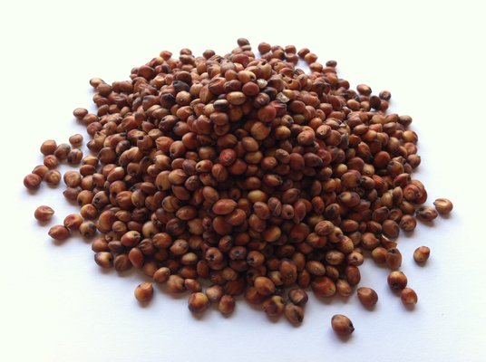 Sorghum Bran Pure Plant Extract Powder Proanthocyanidins 95% OPC Anti Oxidiant Balance Blood Sugar