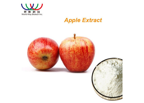 Water Soluble Apple Polyphenol Extract Powder , Green Apple Peel Extract  For Skin Health