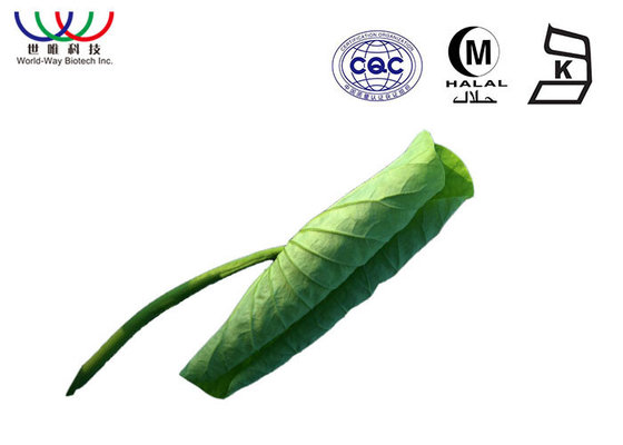 Pharmaceutical Lotus Leaf Extract Food Grade Lower Blood Sugar Ingredients