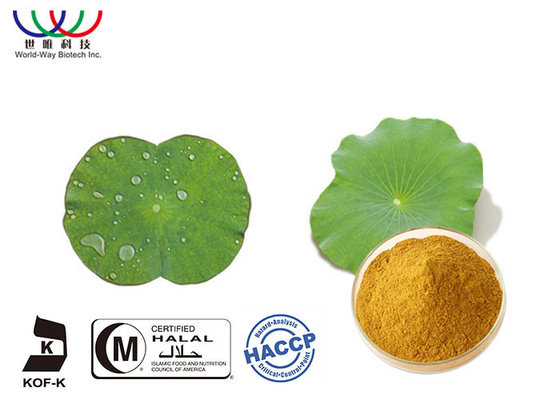 Food Ingredients Lotus Leaf Extract Powder Total Flavonoids Treat Hemorrhoids