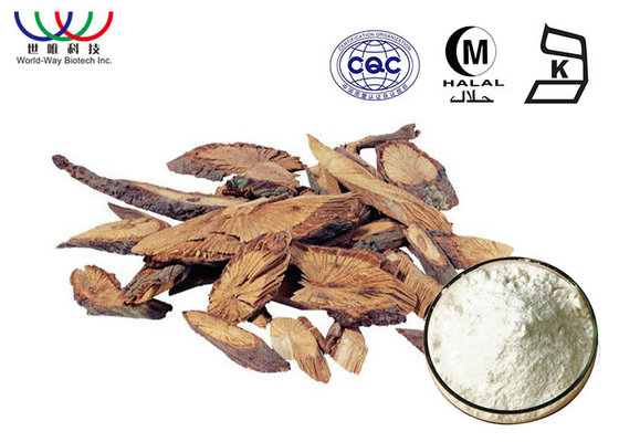 High Standard Garcinia Cambogia Extract , 98% Polygonum Cuspidatum Resveratrol