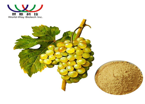 Good Grade Vitis Vinifera Extract Powder , 100% Natural Resveratrol Red Wine Extract