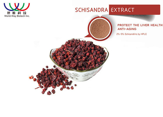 Organic Schizandra Extract Powder , Herbal Schisandra Chinensis Berry Extract