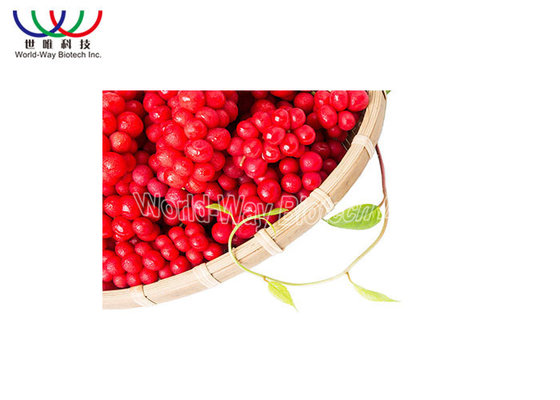 Organic Schizandra Extract Powder , Herbal Schisandra Chinensis Berry Extract