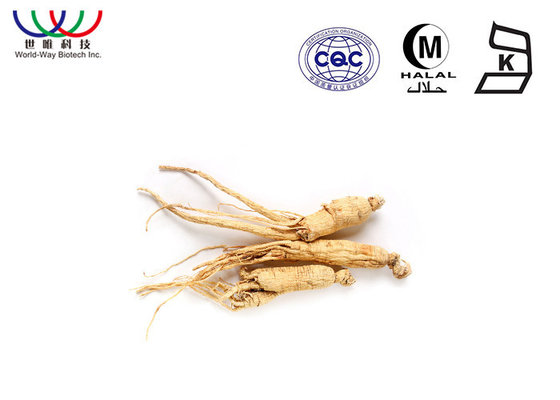 Dried Ginseng Root Extract 20% Ginsenosides 100% Natural Product CAS 22427 39 0