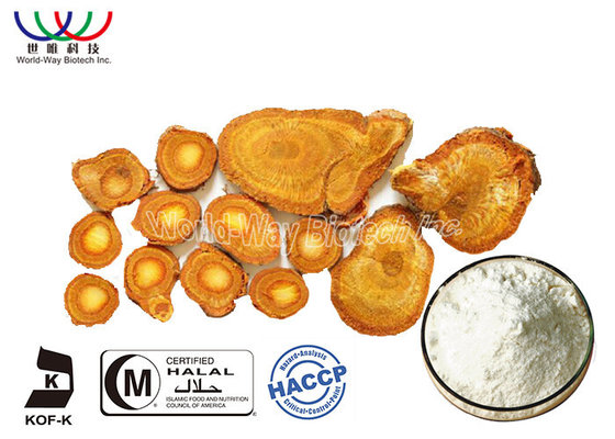 Polygonum Cuspidatum Extract Anti Cancer , Rhizome Japanese Knotweed Root Powder