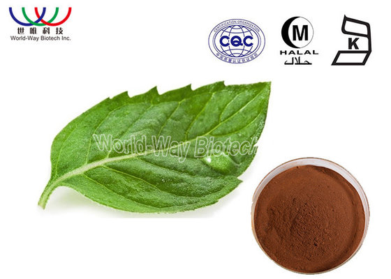 Natural Pure Morus Alba Extract Mulberroside Anti - Bacteria For Skin Cosemtic