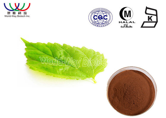 Solvent Extraction Morus Alba Extract 1% 1 - Deoxynojirimycin Lower Blood Sugar
