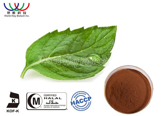 Solvent Extraction Morus Alba Extract 1% 1 - Deoxynojirimycin Lower Blood Sugar