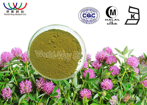 Trifolium Pratense Isoflavone Red Clover Powder , Formononetin Red Clover Blossom Extract