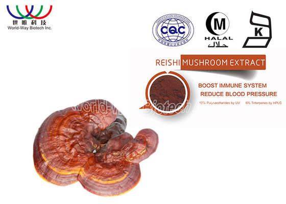 Pharmaceutical Ganoderma Lucidum Spore Powder , Red Reishi Mushroom Powder
