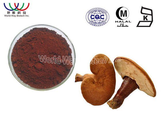 Pure Natural Reishi Mushroom Extract Boost Immunity Brown Fine Powder Reduce Cholesterol