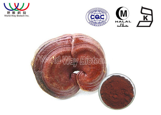 Red Reishi Mushroom Extract Lower Blood Pressure Pharmaceutical Grade