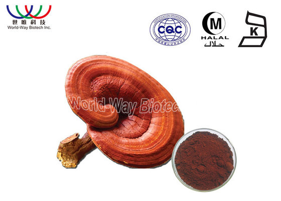 Anti - Aging Red Ganoderma Lucidum Powder , Reishi Mushroom Powder For Food Field