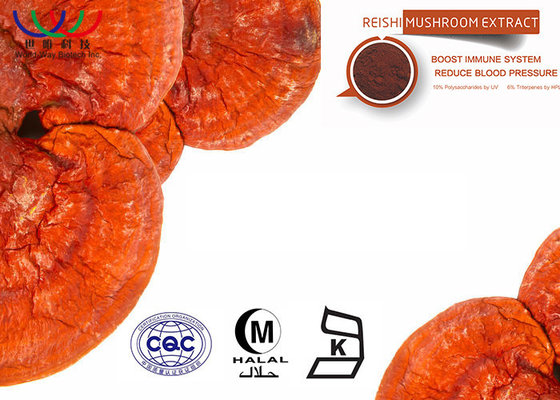 Red Brown Reishi Mushroom Extract Powder 60% Polysaccharide 6% 30% Triterpene Improve Sleeping