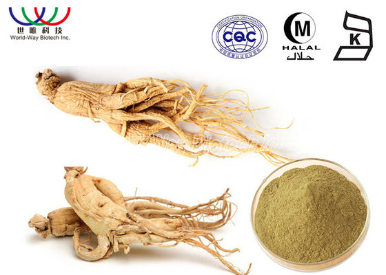 100% Natural ginseng leaf extract , organic ginseng extract 80% Ginsenosides