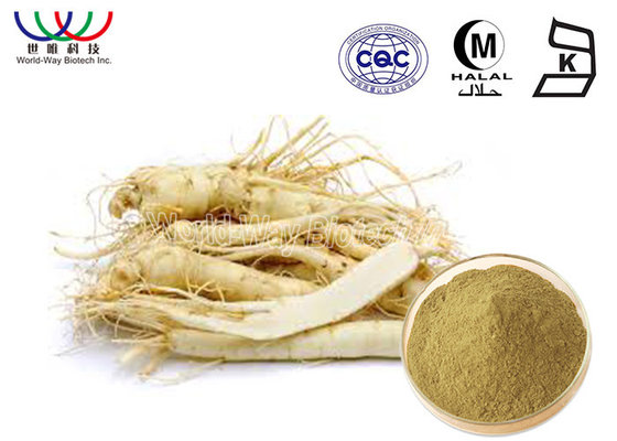 High Standard  Korean Ginseng Root Extract Polysaccharides Adjusting Cerebral Nervous System