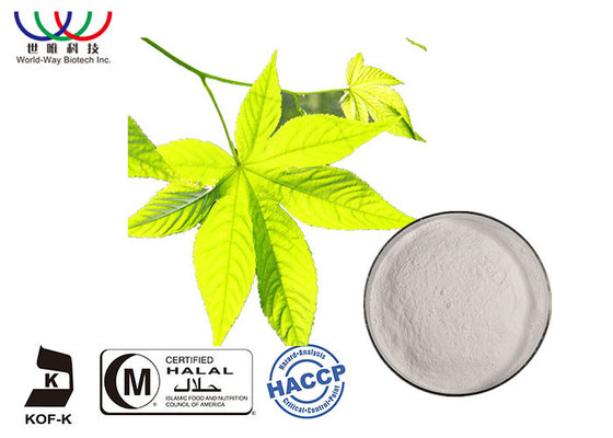 Natural Sweet Tea Extract Sweetener Sugar Substitute 90% Rubusoside For Food And Beverage