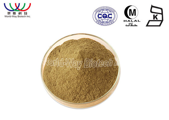 Health Morus Alba Extract Flavonoids 20% Mulberroside A Benifit For Diabetis