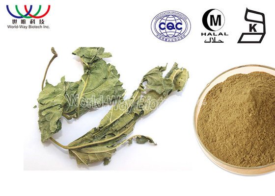 High Purity Mulberry Fruit Extract , Mulberry Extract For Skin Whitening
