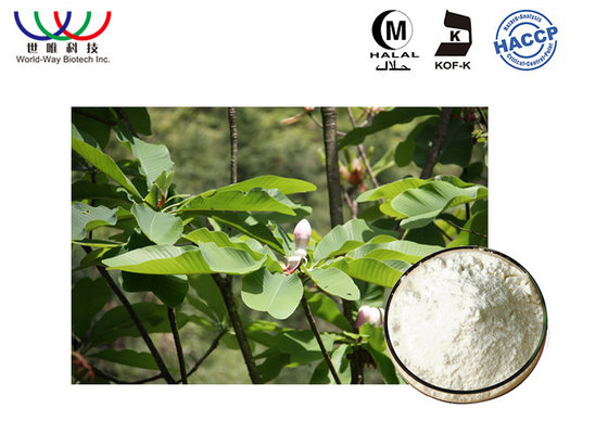 98% Honokiol Nutricology Magnolia Extract , Herbal Magnolia Officinalis Bark Extract