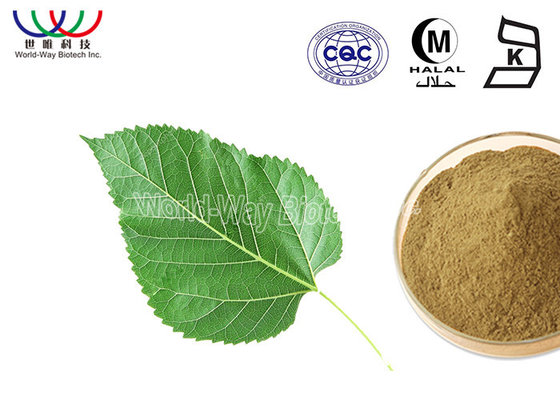 Bio Nutrition White Mulberry Leaf Extract , Mulberry Supplement For Weight Loss