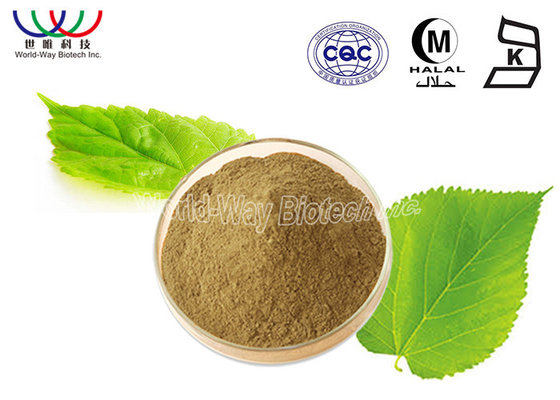 100% Natural Mulberry Extract Skin Care , High Standard Mulberry Root Extract
