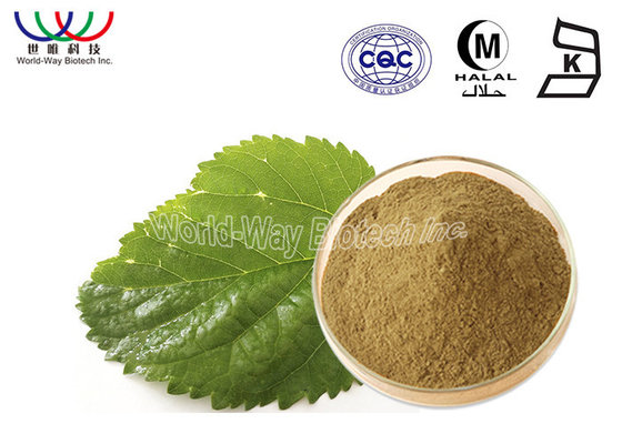 Water Soluble Morus Alba Bark Extract , White Mulberry Leaf Extract Anti - Inflammation