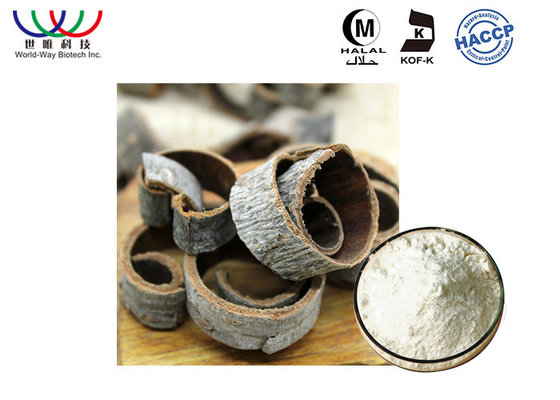 Medicine Magnolia Officinalis Extract , Magnolia Grandiflora Bark Extract Anti - Depression