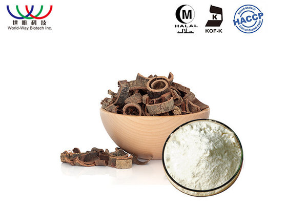 Health Organic Magnolia Bark Extract 30 Mg Prevent Teeth Decay Pharmaceutical Grade